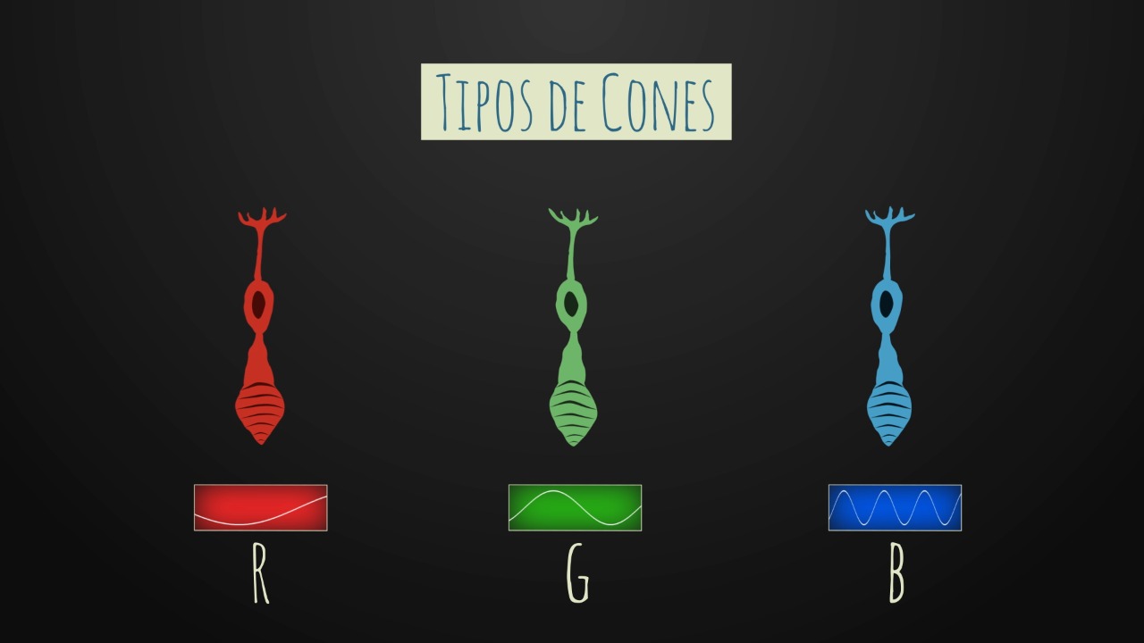 Teoria das cores, como funciona o olho humano e o pixel - Davinci Resolve Tutoriais